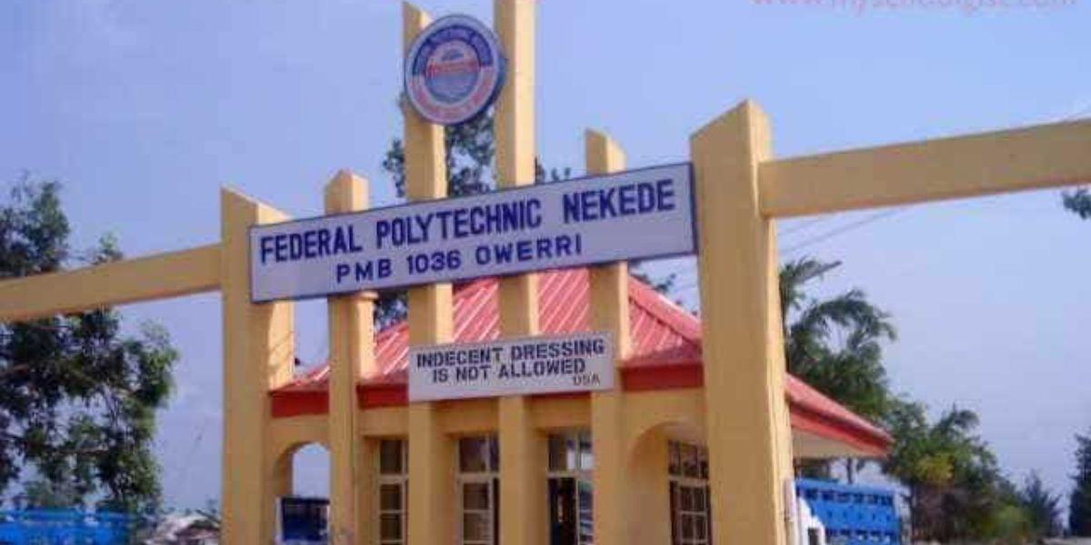 JUST IN: Federal Polytechnic Nekede suspends lecturer after beating ...