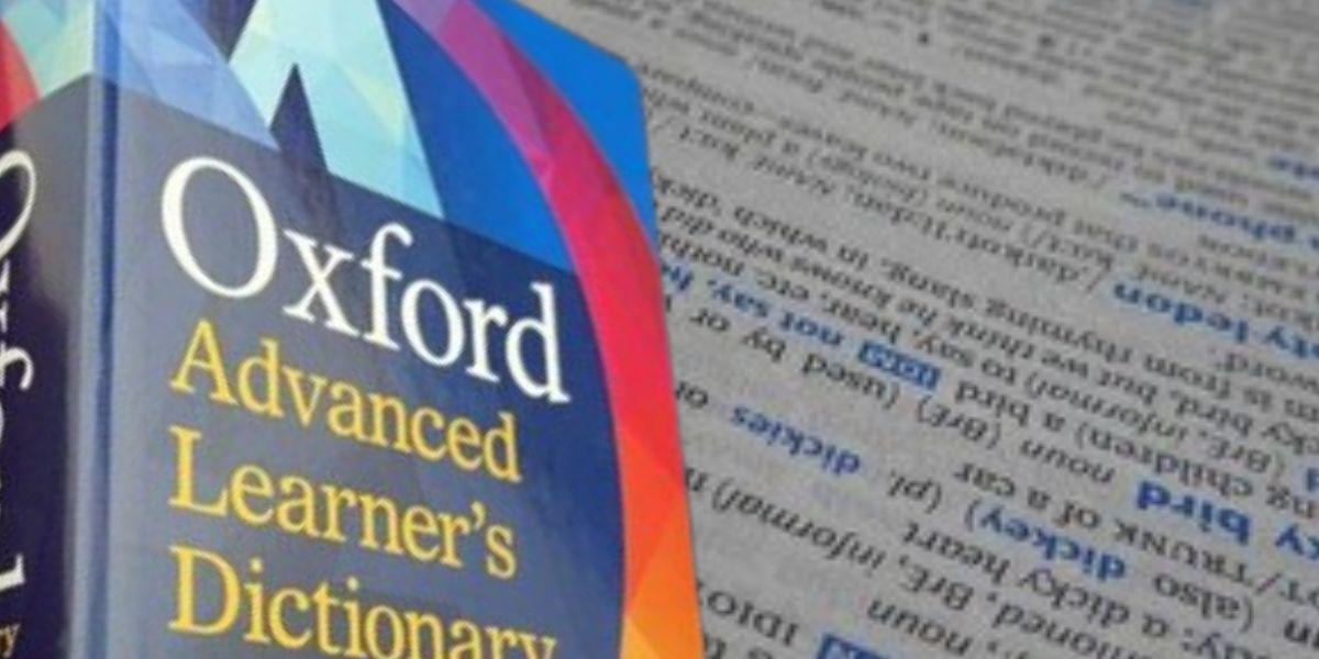 419, Suya, Japa and 19 other Nigerian words now added to Oxford ...