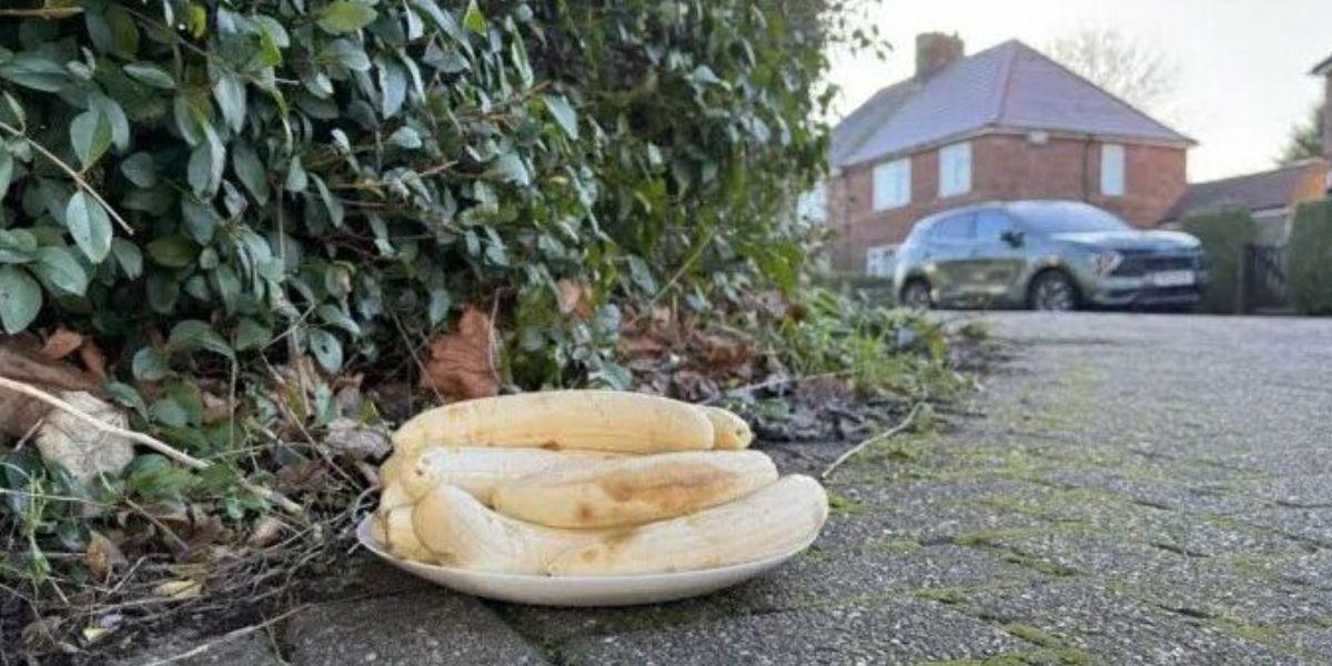 Residents raise alarm as peeled banana 'sacrifice' appears monthly at ...