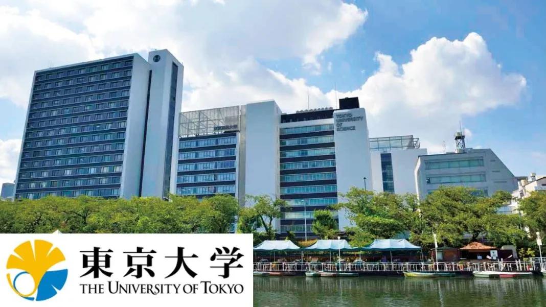 University of Tokyo Amgen Scholars Program in Japan 2026 | Intel Region