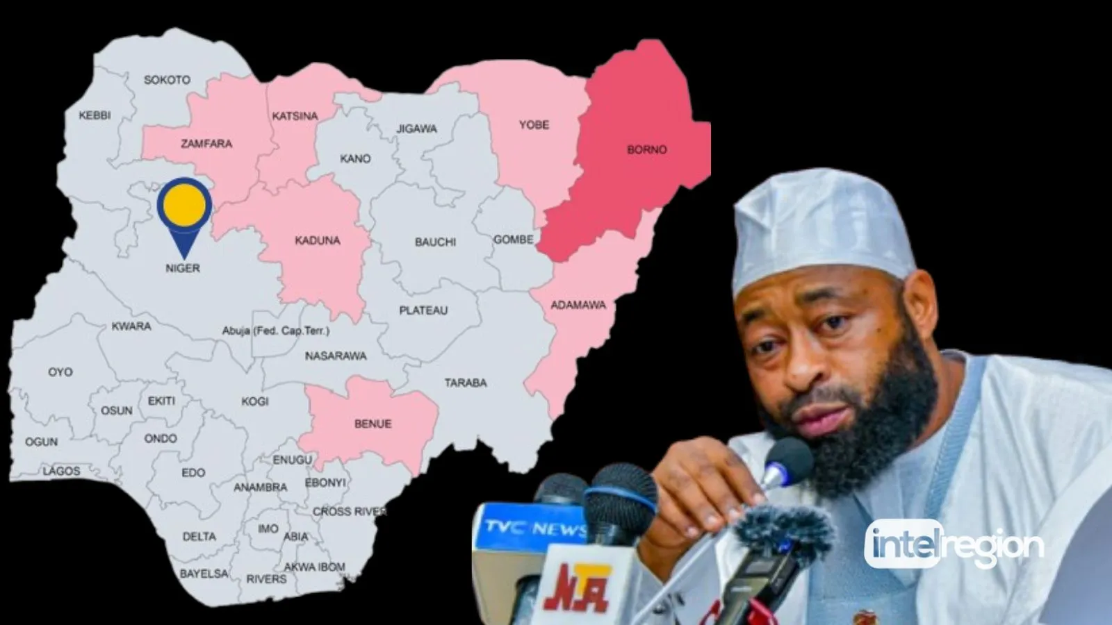 FACT CHECK: Is Niger’s largest local government bigger than Southeast ...