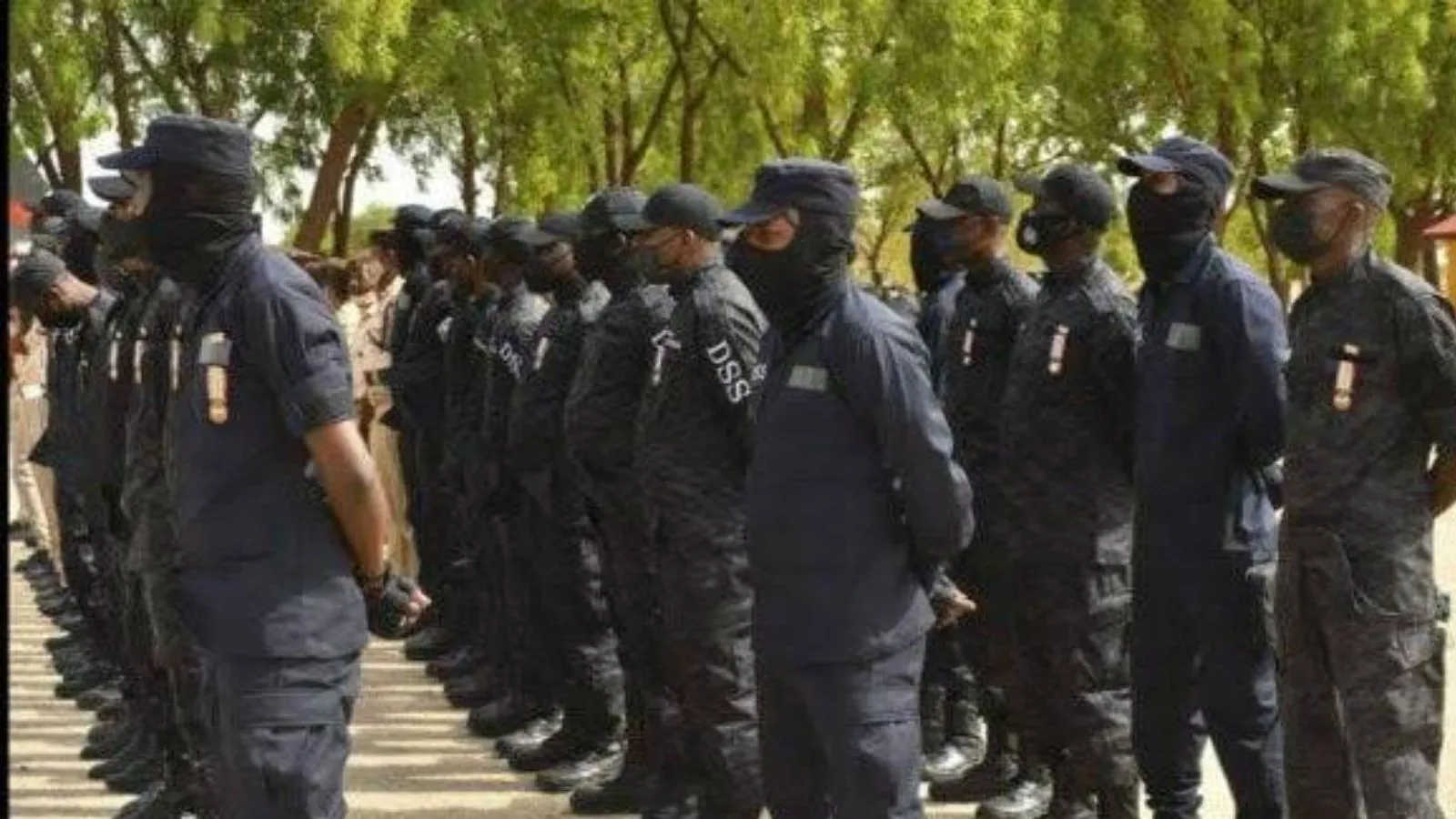 BREAKING: DSS sacks 115 workers (Full List) | Intel Region
