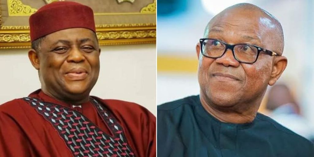 'He was beautifully bounced' – Fani-Kayode mocks Peter Obi over his ...