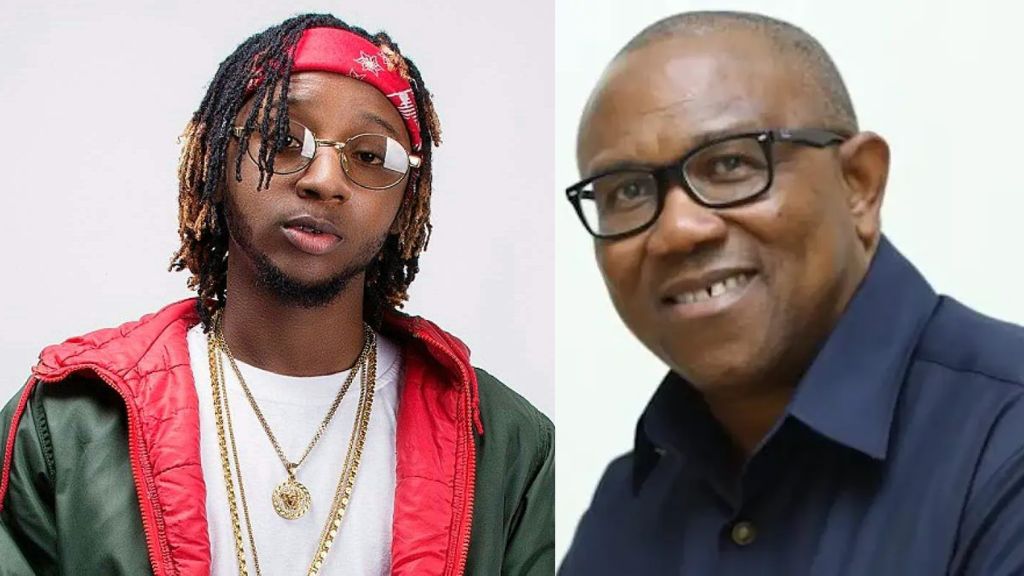 "If Peter Obi wins this election, I’m moving back to Nigeria, if he ...